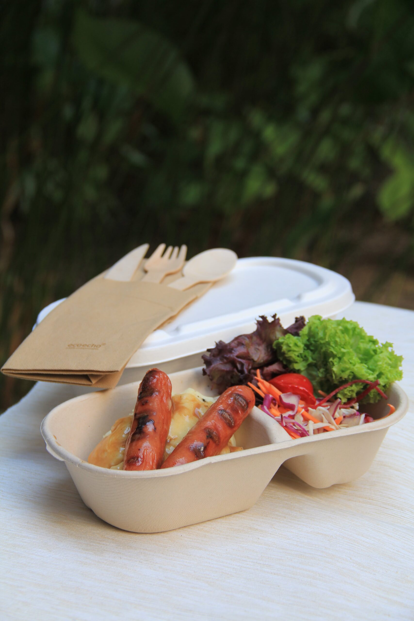 Eco-friendly Bento Box - Medtra (S) Pte Ltd